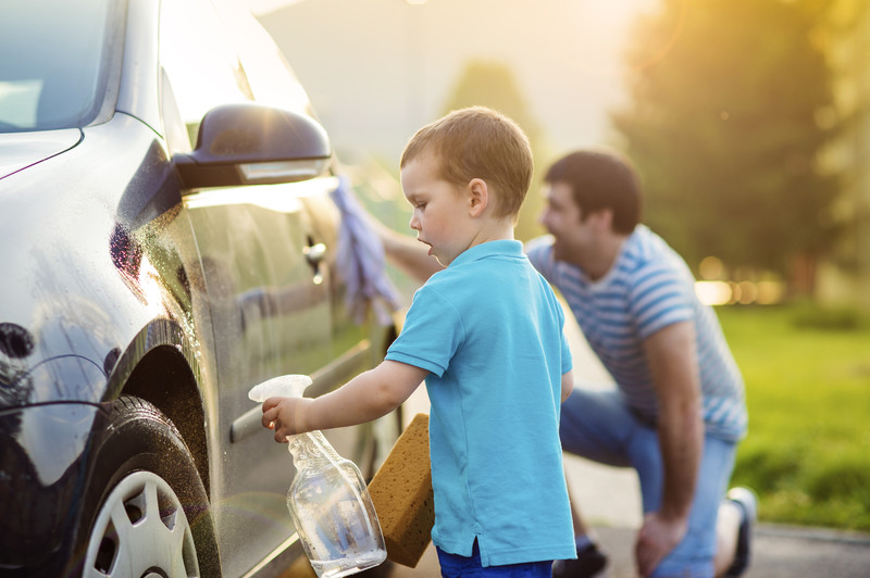 Common Used Car Cover Ups Common Used Car Cover Ups